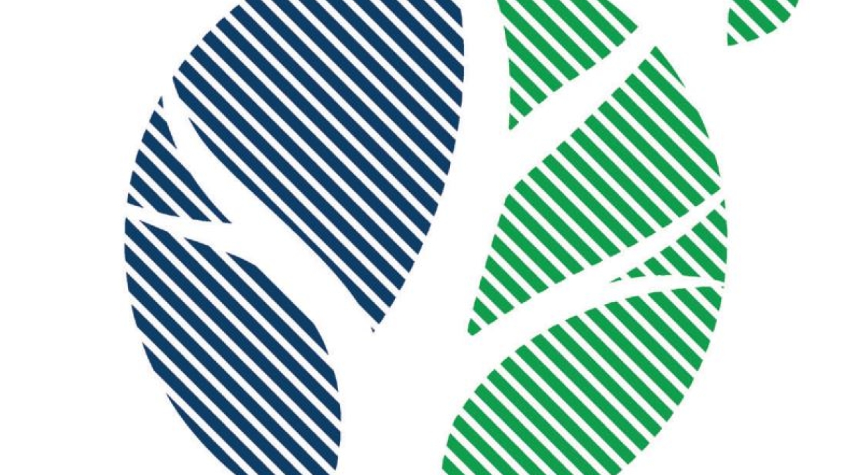 Radiologie et Écoresponsabilité, sur la voie de la Green Radiology | SFR